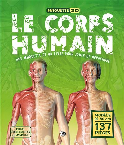 Le Corps Humain Une maquette et un livre pour jouer et apprendre ...