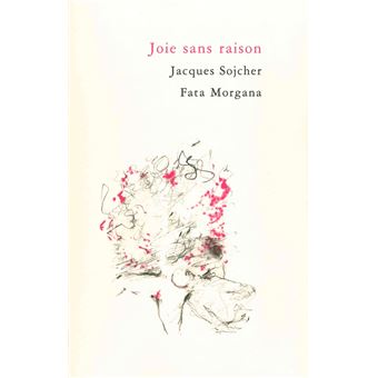 Joie sans raison - broché - Jacques Sojcher, Arié Mandelbaum - Achat ...