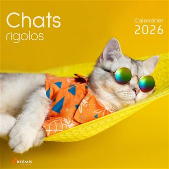Calendrier chats rigolos 2026 - broché - Collectif - Achat Livre | fnac