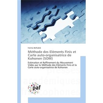 Methode des elements Finis et Carte auto-organisatrice de Kohonen (SOM ...