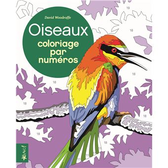 Coloriage par numéros - Oiseaux - broché - David Woodroffe - Achat ...