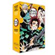Demon Slayer - Coffret Demon Slayer T09 + Roman jeunesse T04 - Koyoharu ...