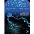 Molecular Biology Techniques A Classroom Laboratory Manual - ebook ...