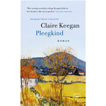 Pleegkind - gekartonneerd - Claire Keegan, Harm Damsma, Niek Miedema ...