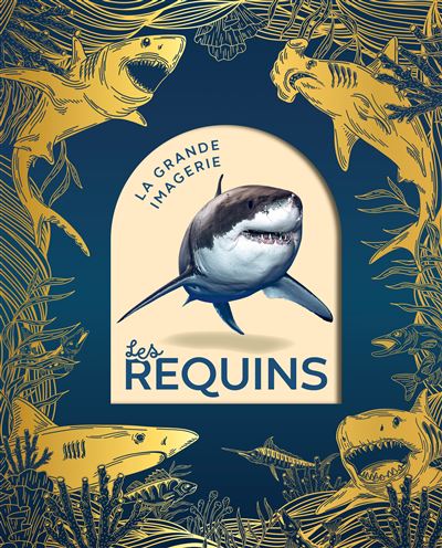 Les requins - cartonné - Cathy Franco, Jacques Dayan - Achat Livre | fnac