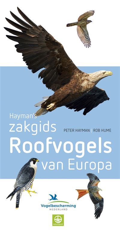 Hayman's Zakgids - Haymans zakgids Roofvogels van Europa - Peter Hayman ...