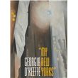 Georgia O'Keeffe My New Yorks - relié - Sarah Kelly Oehler, Annelise K ...