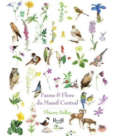 Faune et flore du massif central tome 2 Tome 2 - broché - Thierry Ballay - Achat Livre | fnac