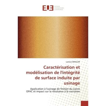 Caractérisation et modélisation de l'intégrité de surface induite par ...
