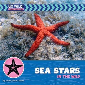 Sea Stars in the Wild - ebook (ePub) - Helen Foster James - Achat ebook ...