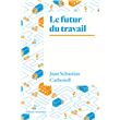 Le Futur du travail - broché - Juan Sebastian Carbonell - Achat Livre ...
