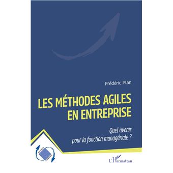 Les méthodes Agiles en entreprise Quel avenir pour la fonction ...