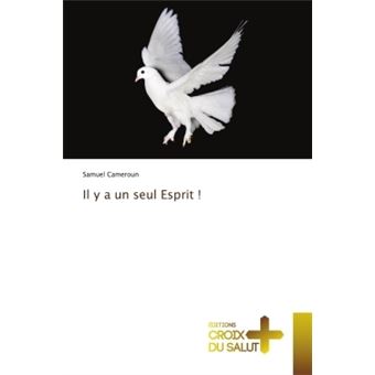 Il y a un seul Esprit ! - broché - Samuel Cameroun - Achat Livre | fnac