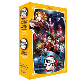 Demon Slayer - coffret - Demon slayer,07 + deyer slayer roman jeunesse ...
