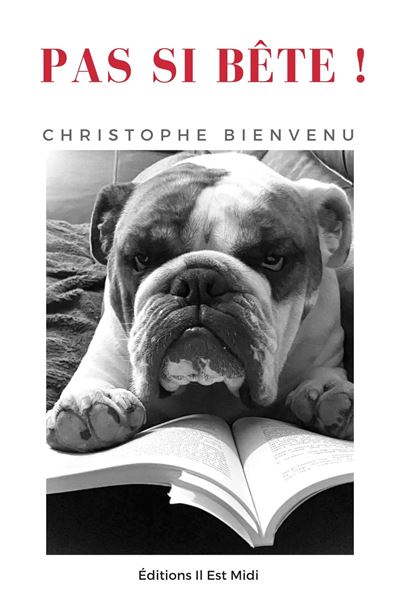 Pas si bête ! L'inattendue parenthèse - broché - Christophe Bienvenu ...