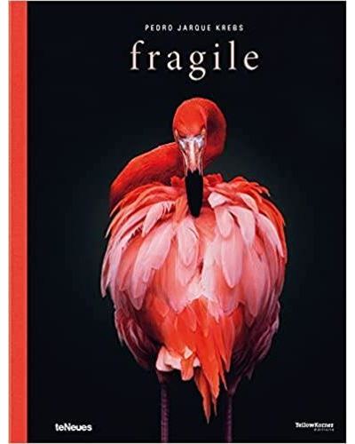 Fragile /anglais Edition en quatre langues français-anglais-allemand ...