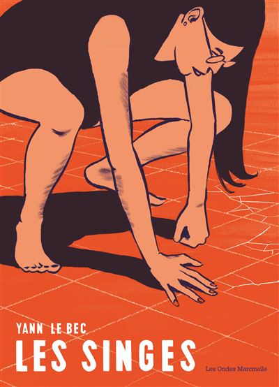 Les singes - cartonné - Yann Le Bec, Yann Le Bec - Achat Livre ou ebook ...