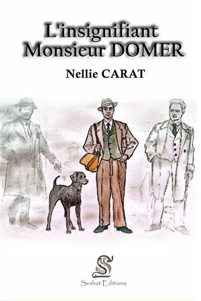 L'insignifiant Monsieur DOMER - ebook (ePub) - Nellie Carat - Achat ...