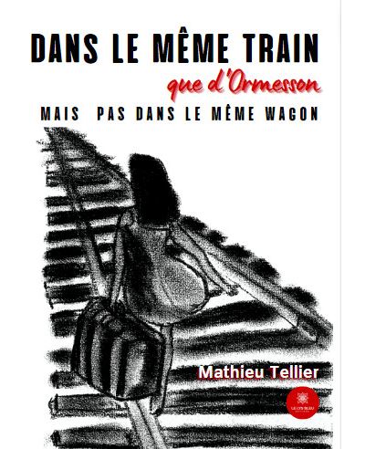 Dans le même train que d'Ormesson mais pas dans le même wagon - broché - Tellier Mathieu - Achat ...