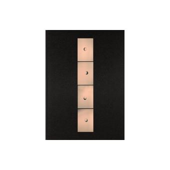 Andrea Ferrari Wild Window /anglais - relié - Andrea Ferrari - Achat ...
