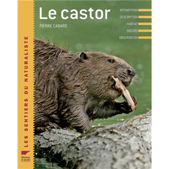 Le Castor Répartition, description, habitat, moeurs, observation ...