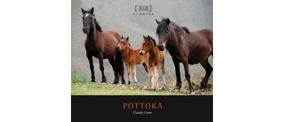 Pottoka - broché - Claude Coste - Achat Livre | fnac