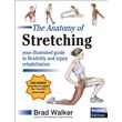 The Anatomy of Stretching your illustrated guide to flexibility and ...