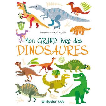 Mon grand livre des dinosaures - cartonné - Agnèse Baruzzi, Raphaële ...