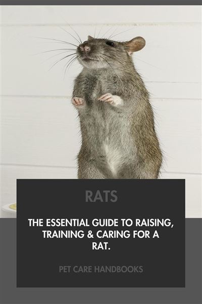 Rats: The Essential Guide to Raising, Training & Caring for A Rat. - ebook (ePub) - Pet Care ...