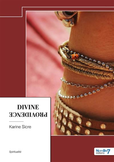Divine providence - relié - Sena Dake, Karine Sicre - Achat Livre | fnac