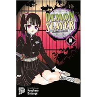 Demon Slayer - Kimetsu no Yaiba – autres ebooks collection Demon Slayer ...