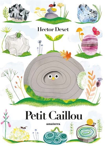 Petit caillou - Dernier livre de Hector Dexet - Précommande & date de ...
