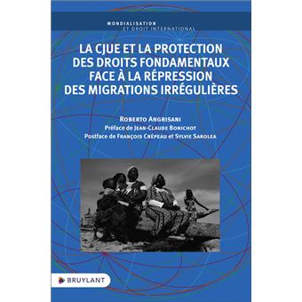 La CJUE et la protection des droits fondamentaux face à la répression ...