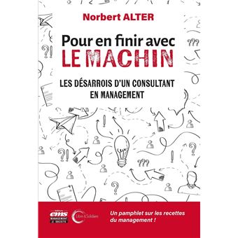 Pour en finir avec le Machin Les désarrois d'un consultant en ...