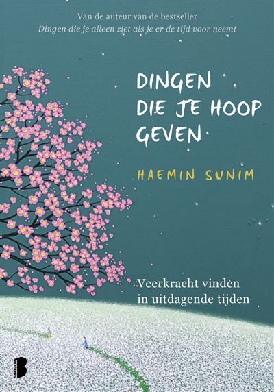 DINGEN DIE JE HOOP GEVEN LE - cartonné - Haemin Sunim - Achat Livre | fnac