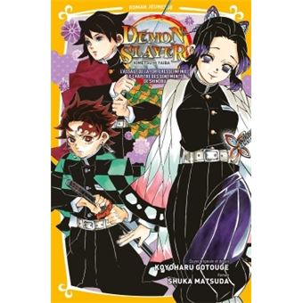 Demon Slayer - Demon Slayer - Roman jeunesse T06 - S. Matsuda, K ...