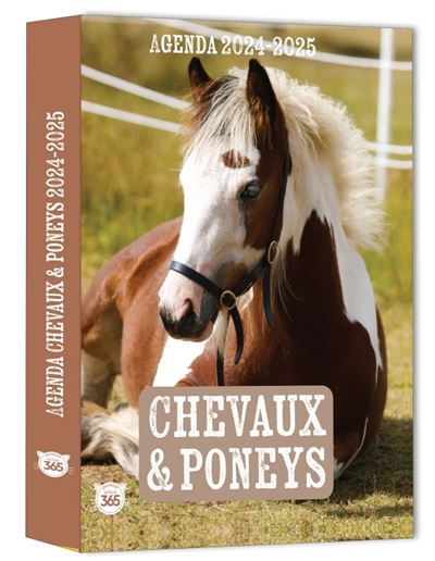 Agenda scolaire 2024-2025 Chevaux & poneys - broché - Collectif - Achat ...