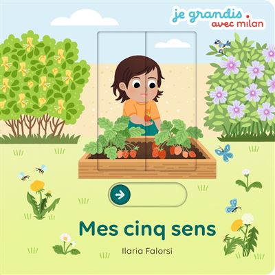 Mes 5 sens - cartonné - Anne Blanchard, Ilaria Falorsi - Achat Livre | fnac