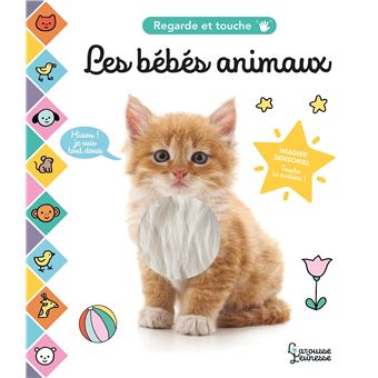 Les Bébés animaux - cartonné - Cogumelo Club - Achat Livre | fnac