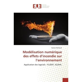 Modélisation numérique des effets d'incendie sur l'environnement Application des logiciels ...
