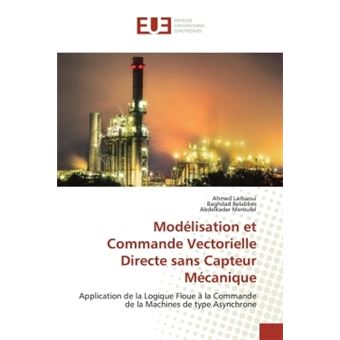 Modélisation et Commande Vectorielle Directe sans Capteur Mécanique ...