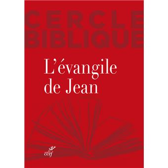 L'evangile de jean - broché - Chantal Reynier - Achat Livre | fnac