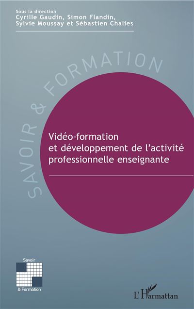 Vidéo-formation et développement de l'activité professionnelle ...
