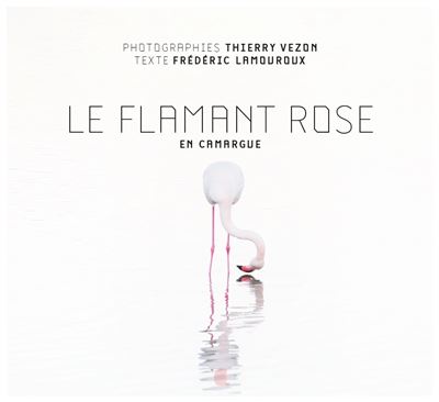 Le flamant rose en camargue - broché - Thierry Vezon, Frédéric ...