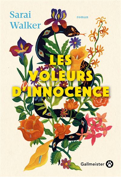 Les Voleurs Dinnocence Broché Sarai Walker Janique Jouin De