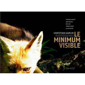 Le minimum visible - cartonné - Christian Garcin, Collectif - Achat ...
