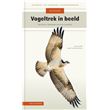 Veldgids - Trekvogels herkennen aan hun vliegbeeld - Veldgids vogeltrek ...
