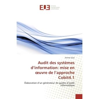 Audit des systèmes d'information: mise en oeuvre de l'approche Cobit4.1 Élaboration d’un ...