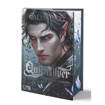 Quicksilver - Fae & Alchimie T1 Edition collector (version française ...