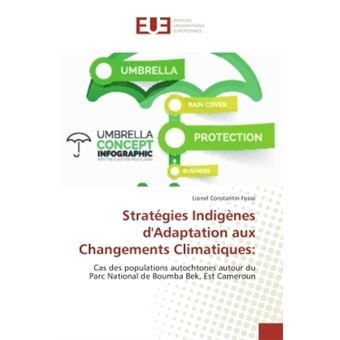 Stratégies Indigènes d'Adaptation aux Changements Climatiques: Cas des ...